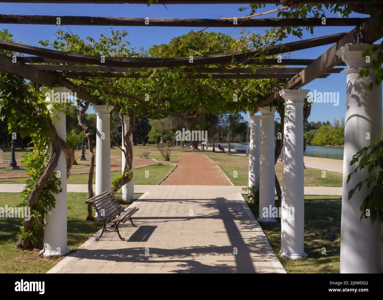 Wooden bench with white columns in a city park Stock Photo - Alamy