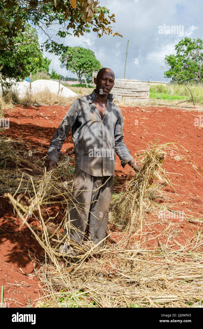 Farmer Preparing Land For Crop Stock Photo - Alamy