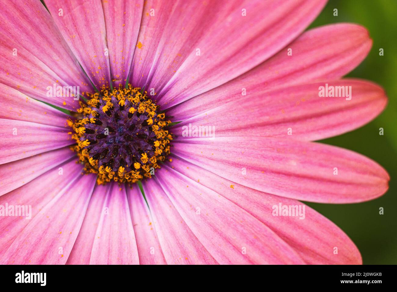 Beautiful and pleasing hi-res stock photography and images - Alamy