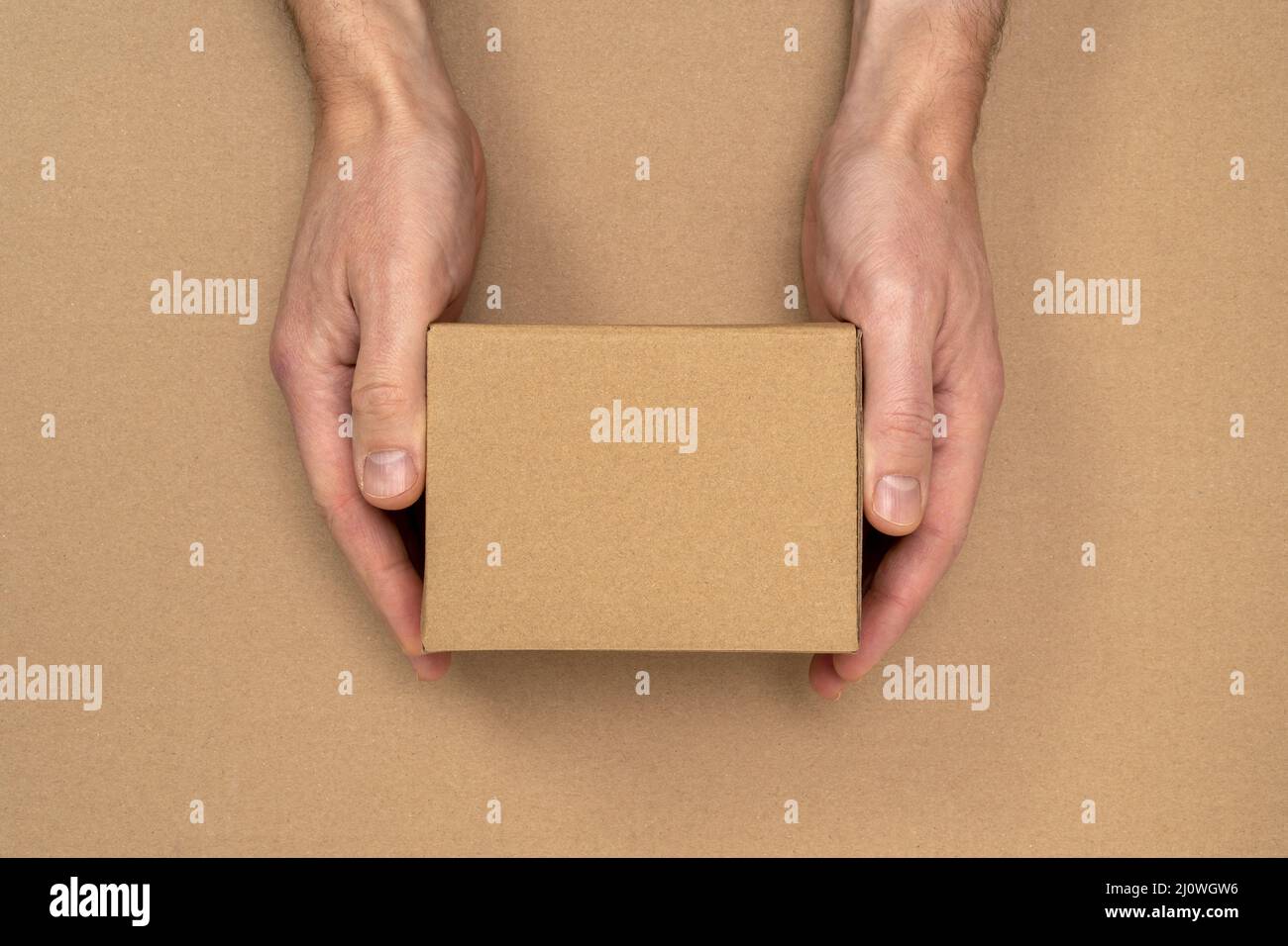 Hands with small cardboard box for packaging and delivery Stock Photo ...