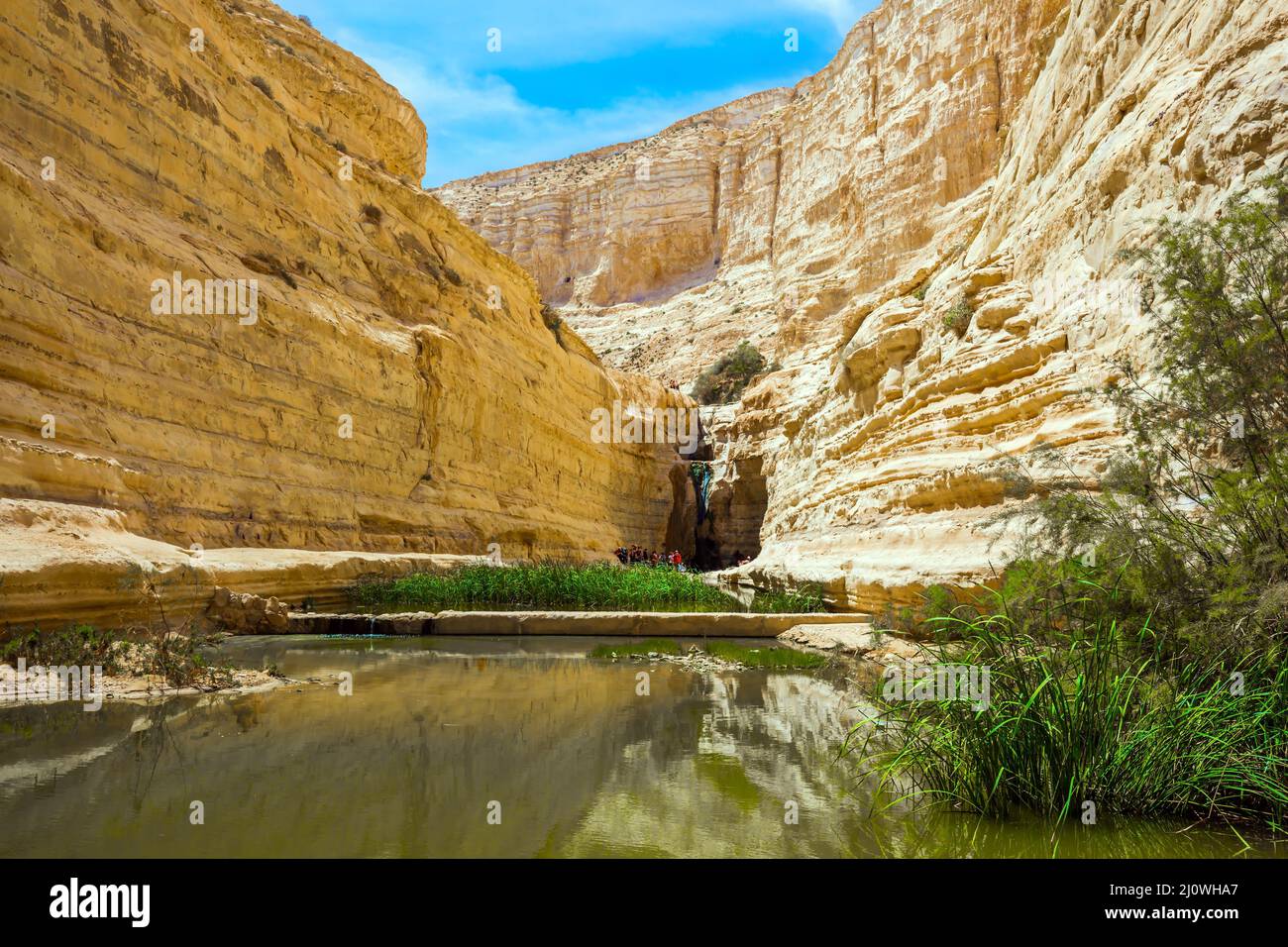 Greenish sky hi-res stock photography and images - Alamy