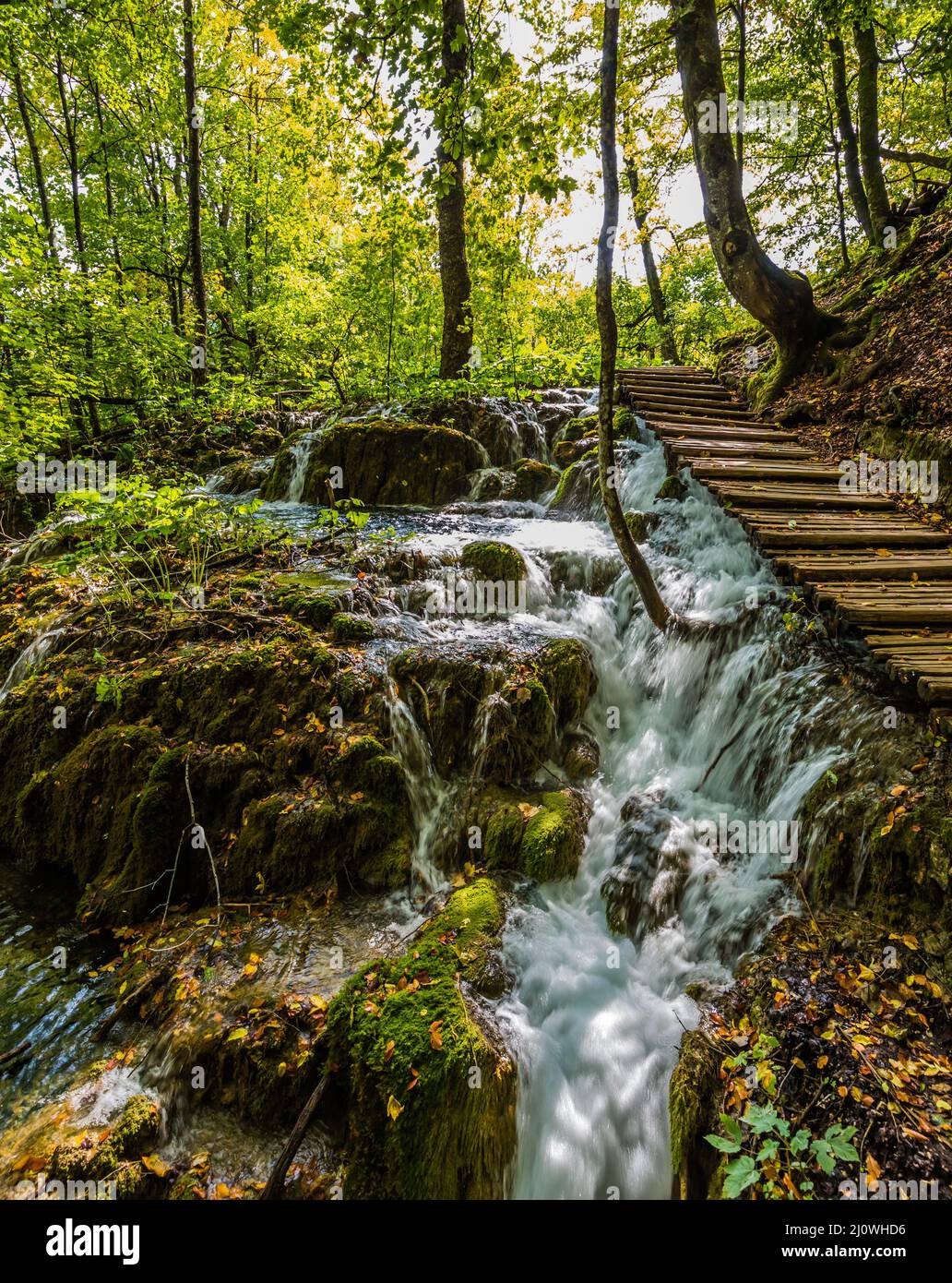 Beautiful forest waterfall river stream hi-res stock photography and ...
