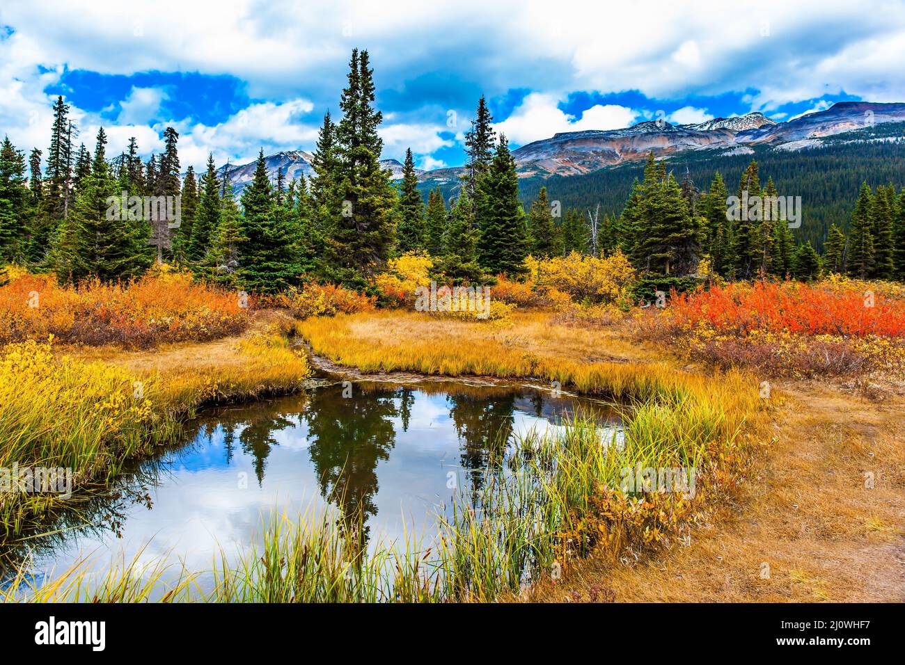 Puddle blue water reflects hi-res stock photography and images - Alamy