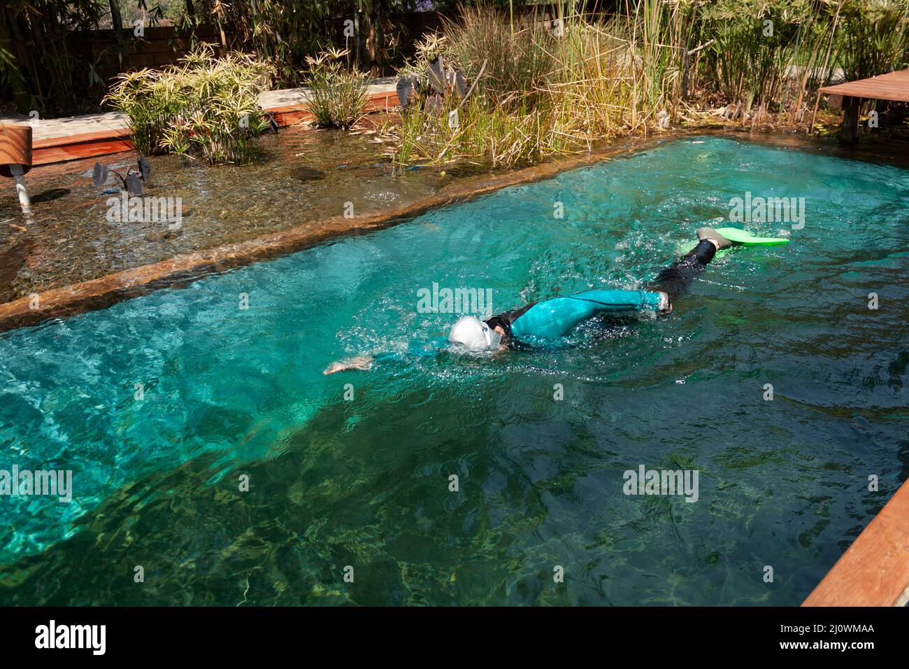front crawl swimming style face into the water executed by a woman ...