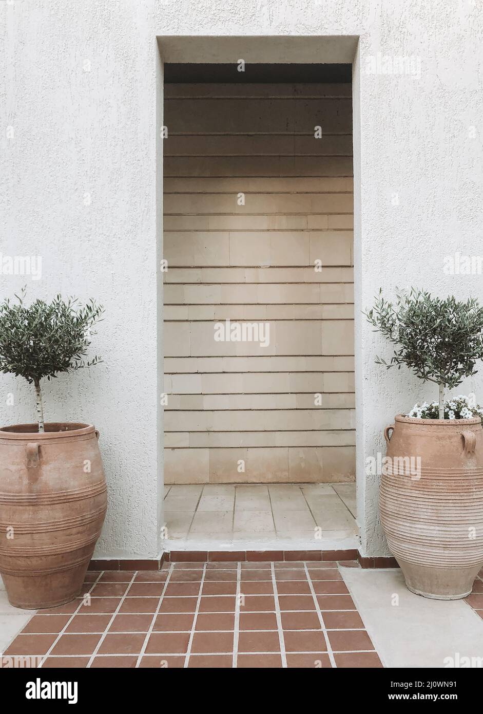 Plants with blooming flowers in pots placed near entrance of house in ...