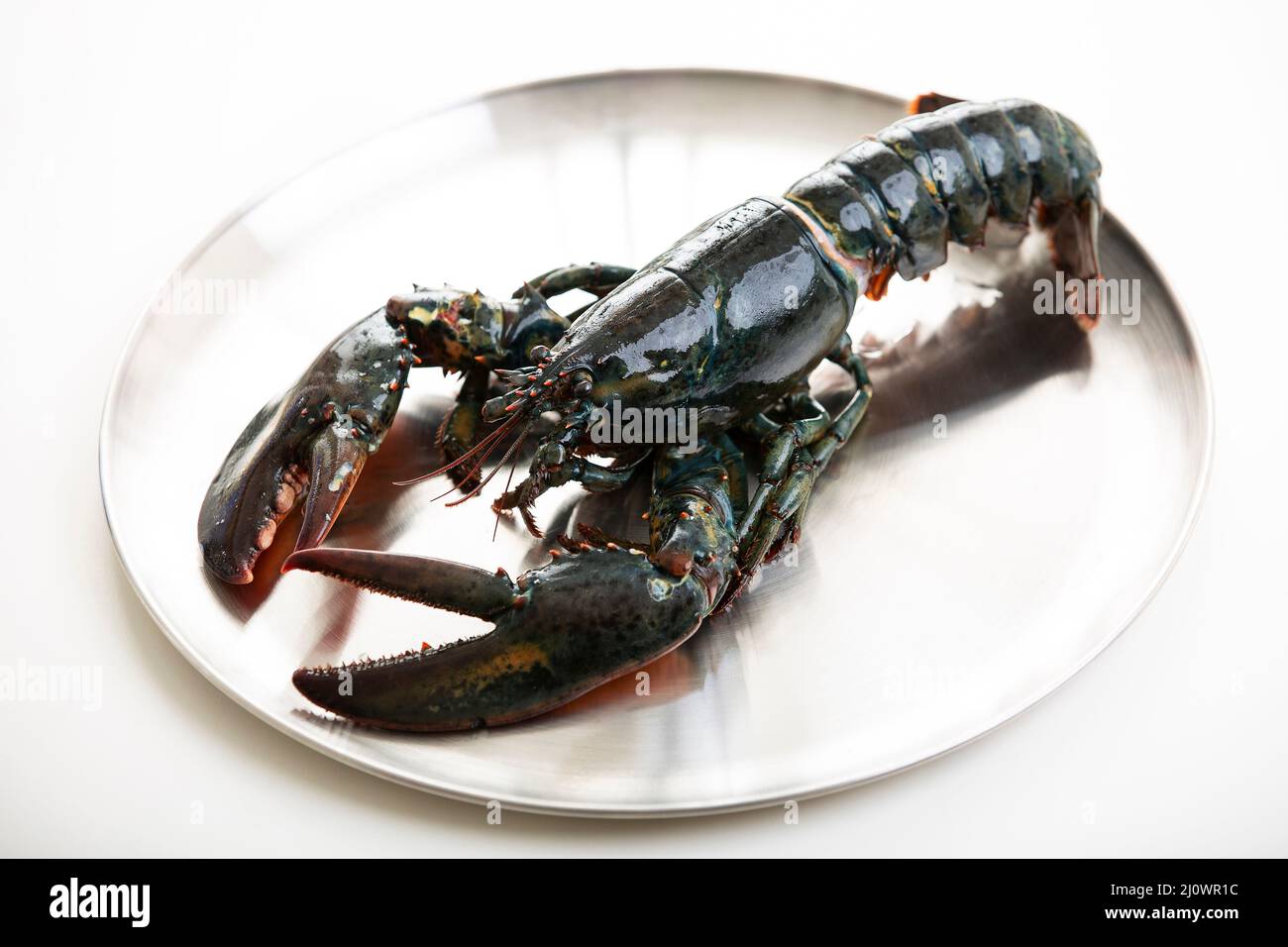 Lobster food photography hi-res stock photography and images - Alamy