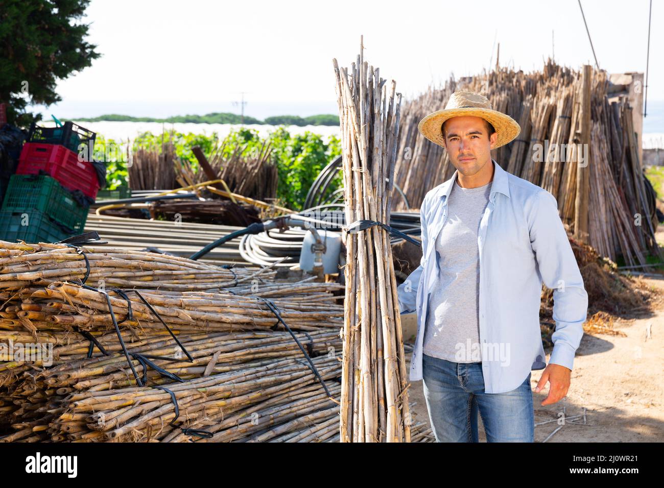 Gardener stacking bundles of bamboo poles on backyard Stock Photo - Alamy