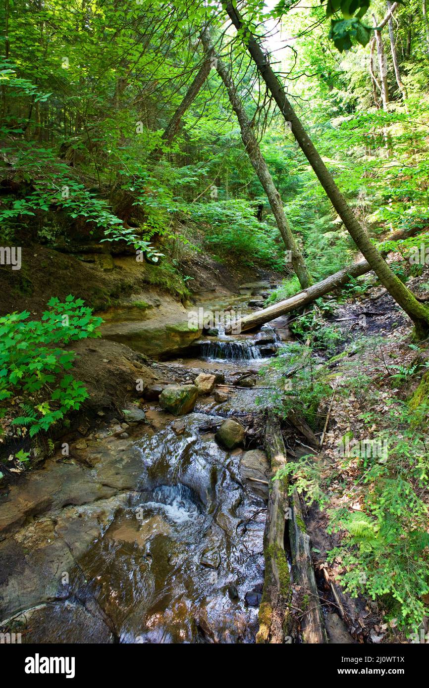 Shawnee National Forest Stock Photo - Alamy