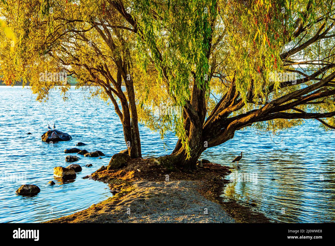 Sprawling hi-res stock photography and images - Alamy