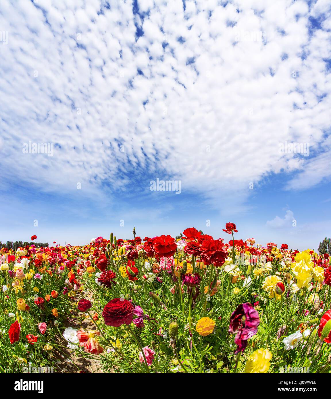 Spring trip hi-res stock photography and images - Alamy