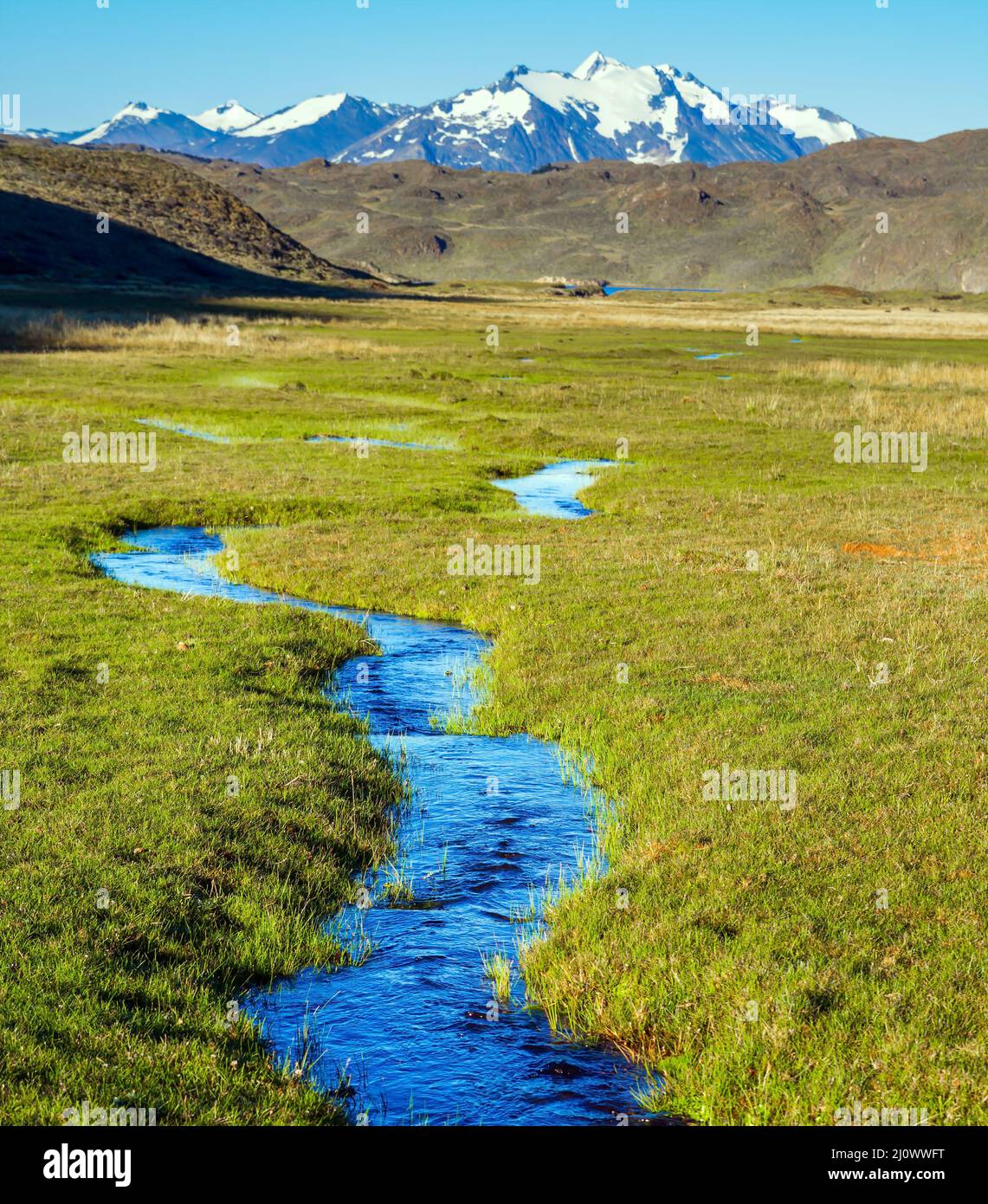 Small streams overgrown with grass Stock Photo - Alamy