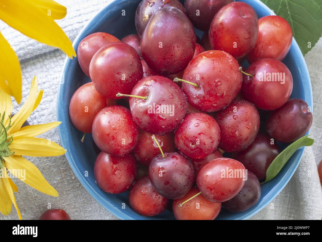 Ripe red plums in a blue ceramic plate Stock Photo - Alamy