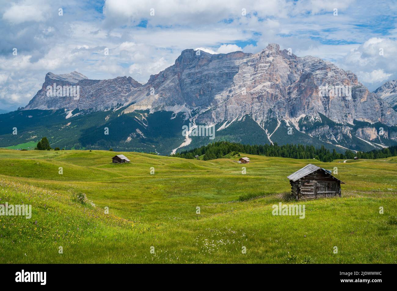 Pralongia Plateau in the Dolomites Stock Photo - Alamy