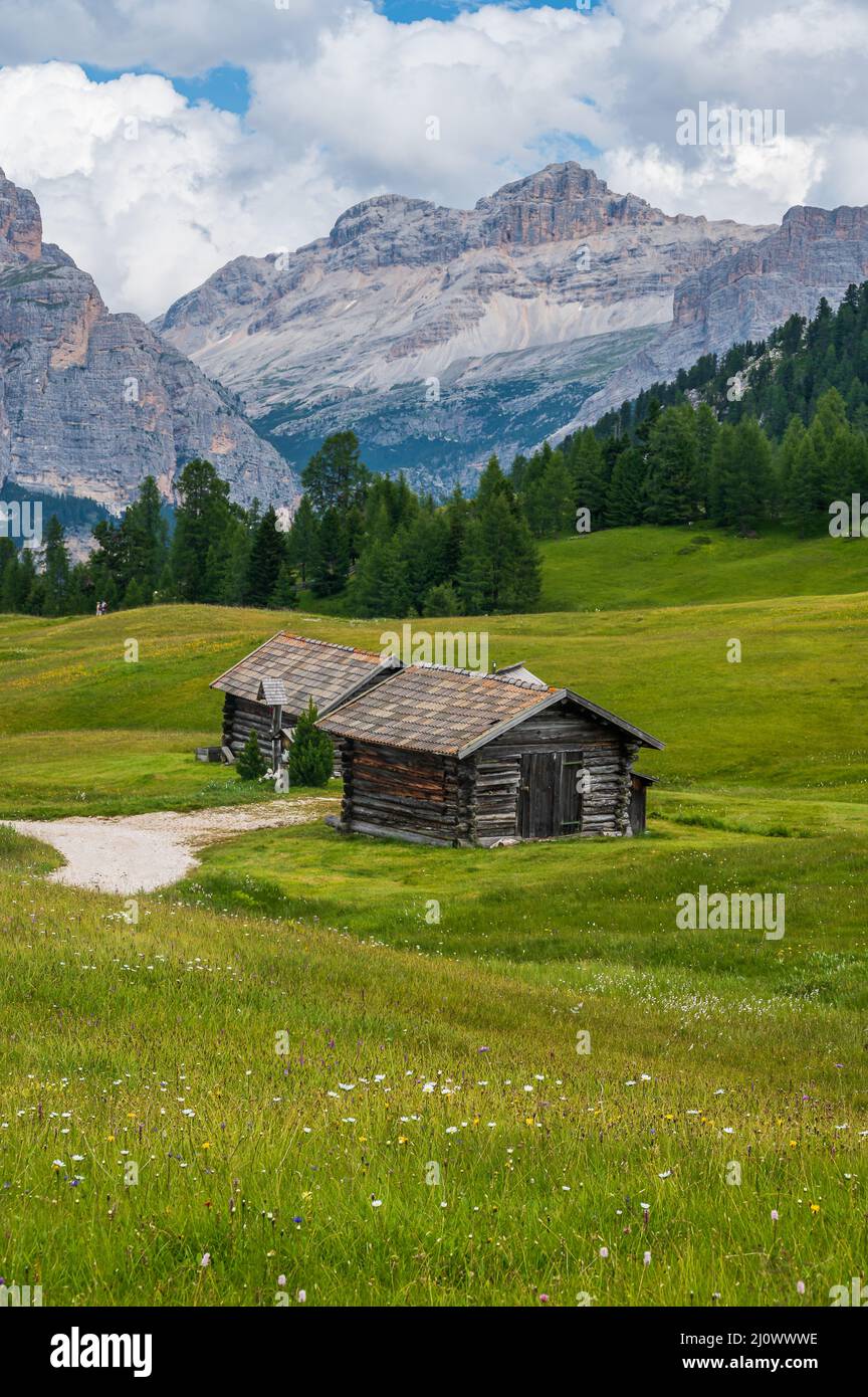 Pralongia Plateau in the Dolomites Stock Photo - Alamy