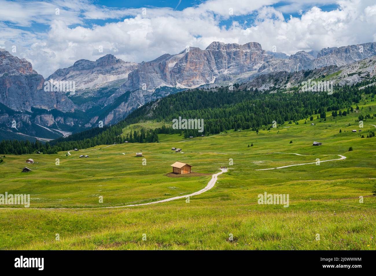 Pralongia Plateau in the Dolomites Stock Photo - Alamy