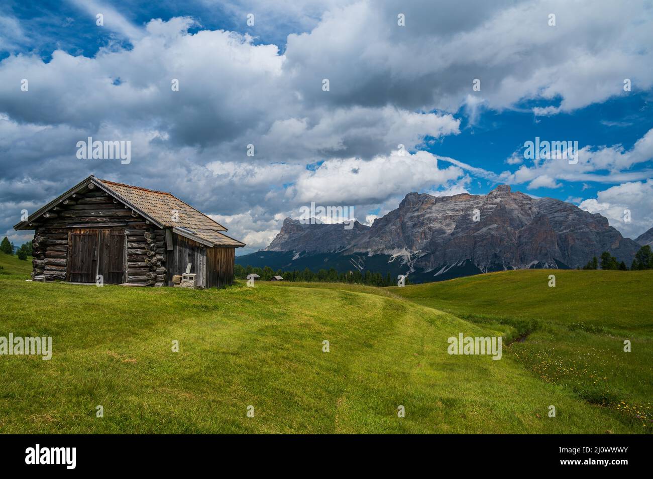 Pralongia Plateau in the Dolomites Stock Photo - Alamy