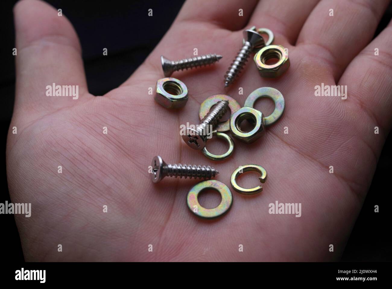 Nails and nuts in a hand Stock Photo - Alamy