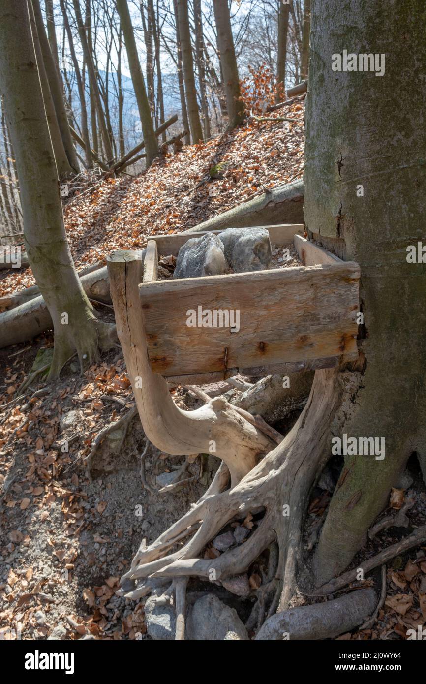 A mineral lick in the forest. Salt blocks ready for the wild animals ...