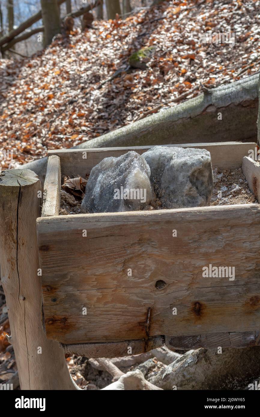 A mineral lick in the forest. Salt blocks ready for the wild animals ...