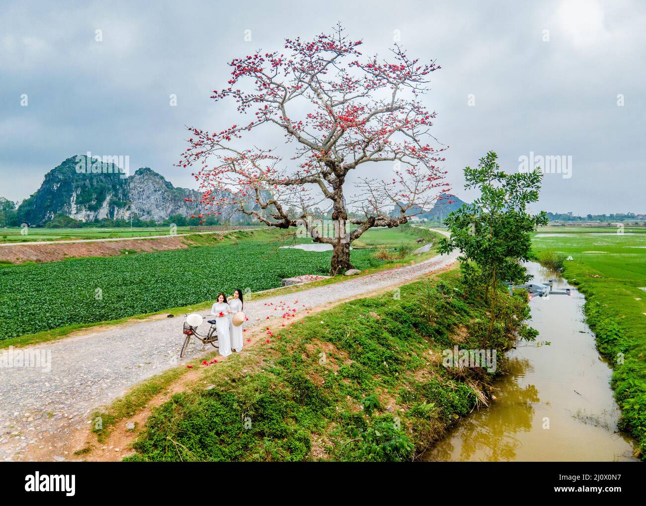Very nice landscape in the countryside Stock Photo - Alamy