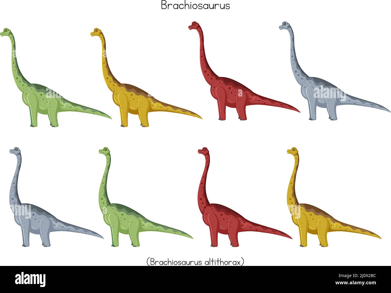Brachiosaurus in different colors illustration Stock Vector Image & Art ...