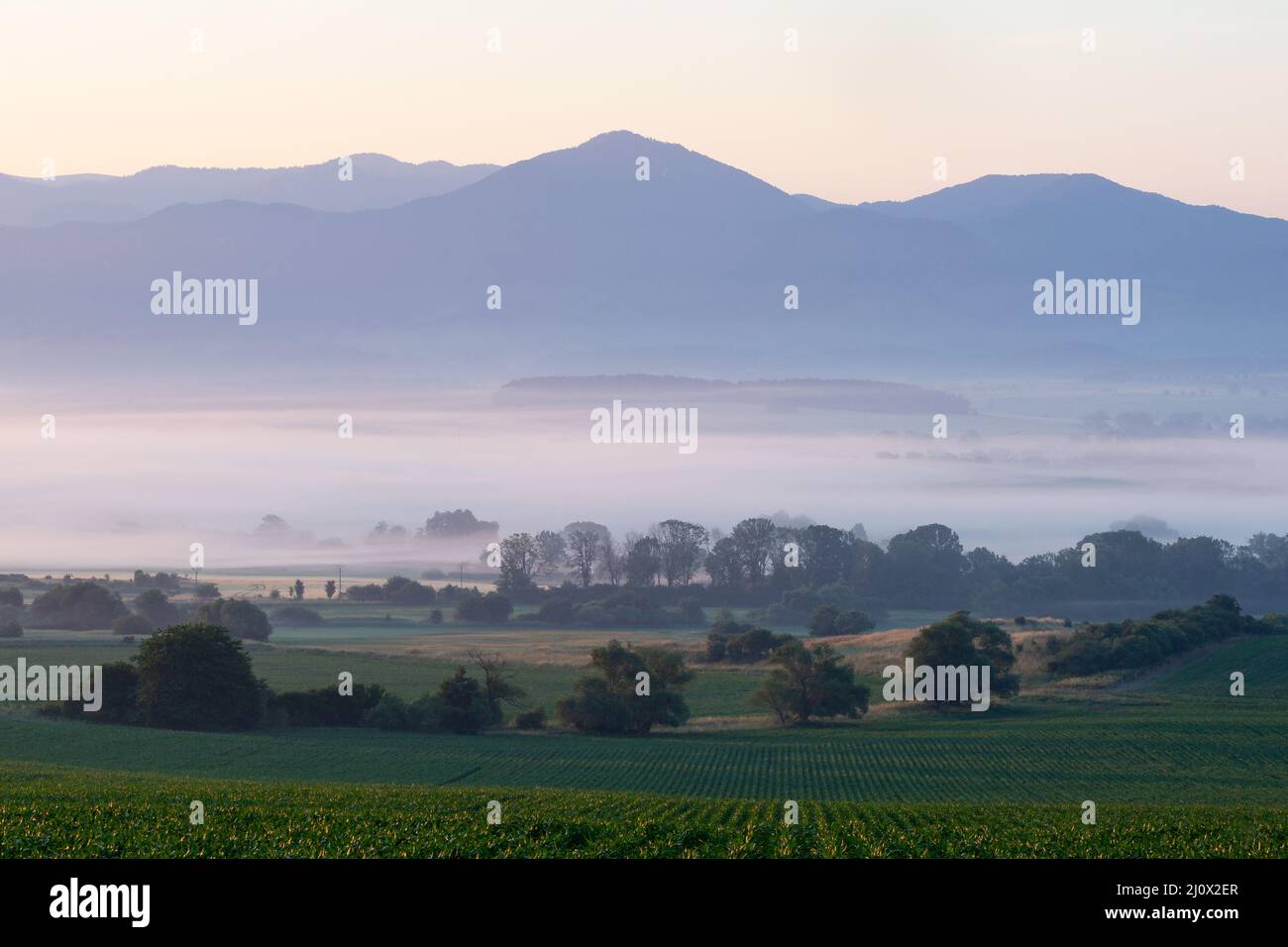 Turiec hi-res stock photography and images - Alamy