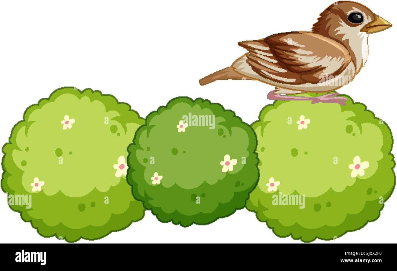 A bird on bush in cartoon style illustration Stock Vector Image & Art ...
