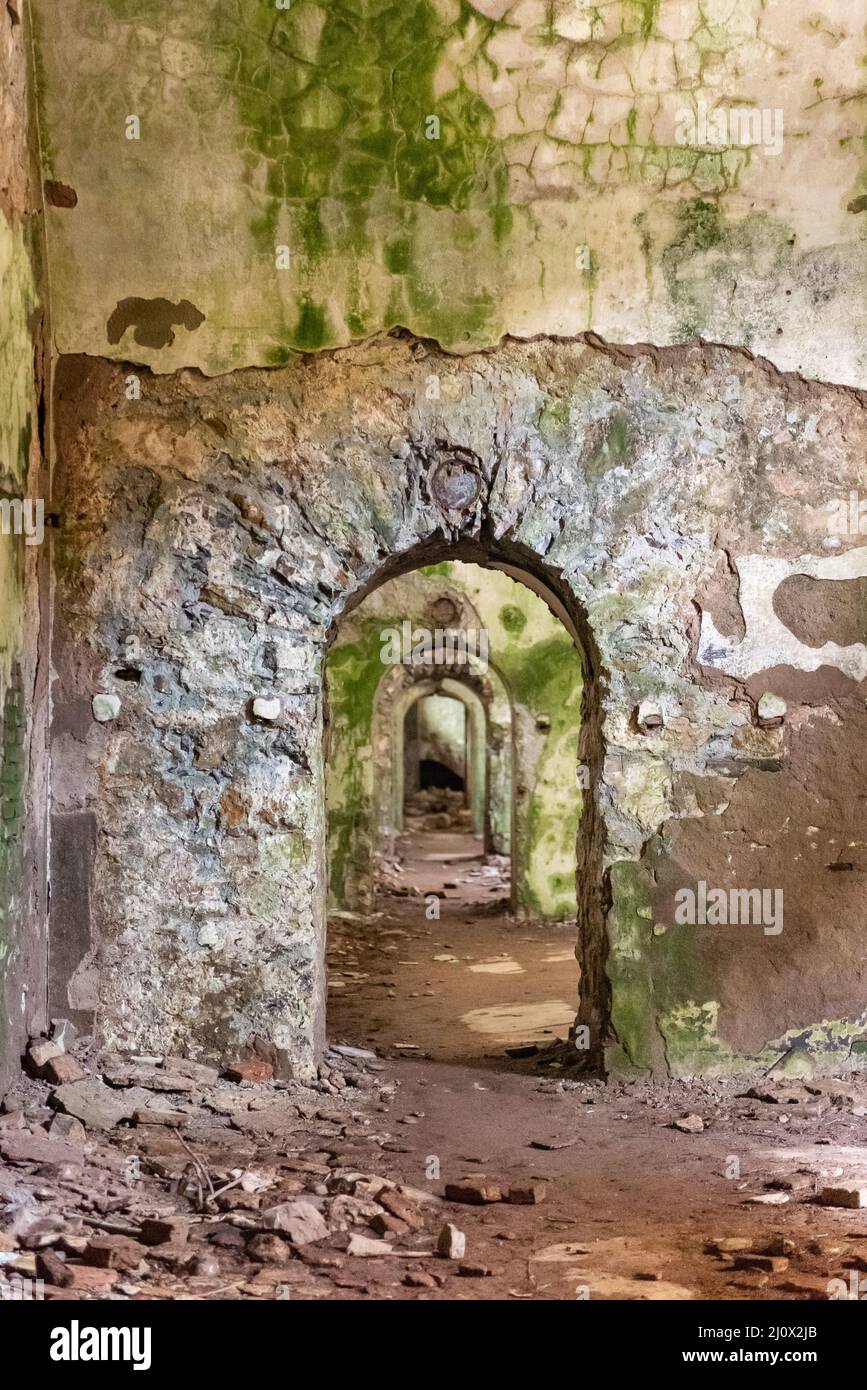 Forte ratti hi-res stock photography and images - Alamy