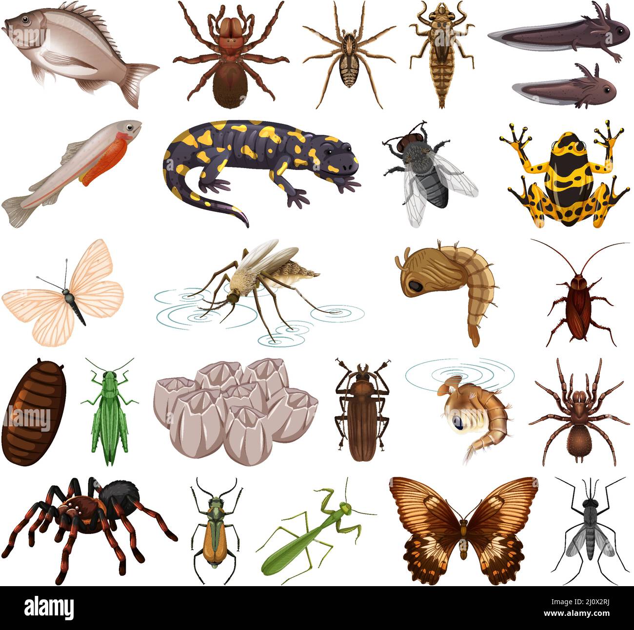 Different kinds of insects and animals on white background illustration ...