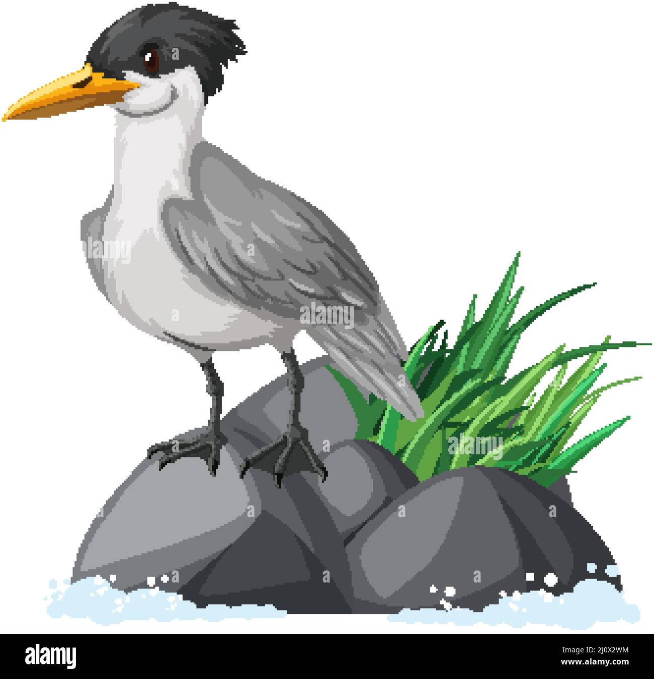 Flying tern drawing hi-res stock photography and images - Alamy