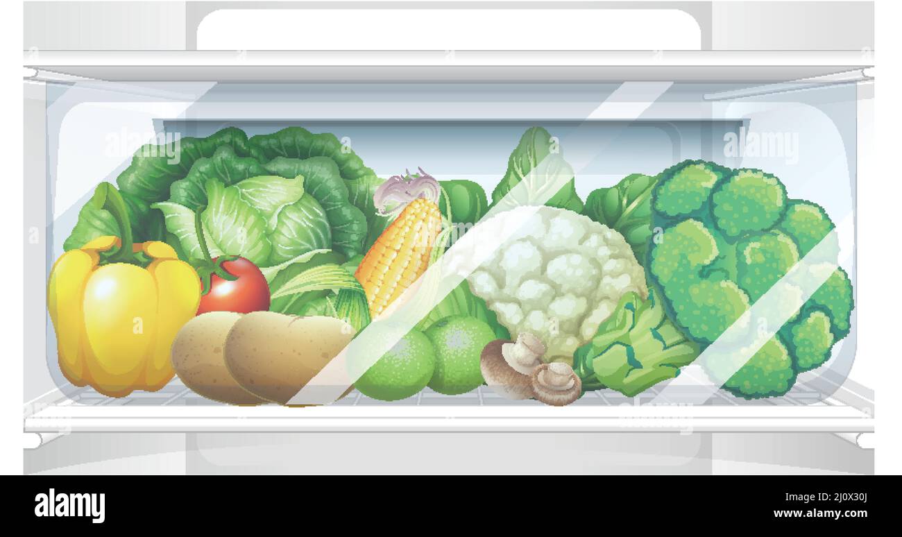 An inside the refrigerator with vegetable illustration Stock Vector ...