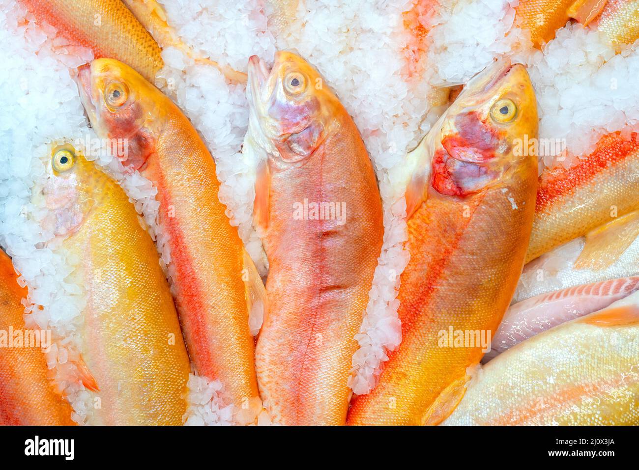 Sold fish hi-res stock photography and images - Alamy