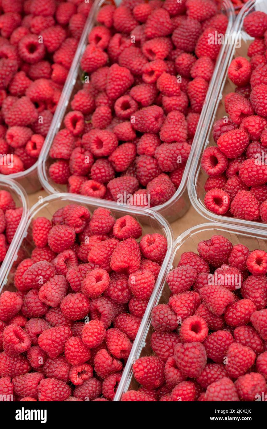 Red, ripe, fresh raspberries in plastic containers Stock Photo - Alamy