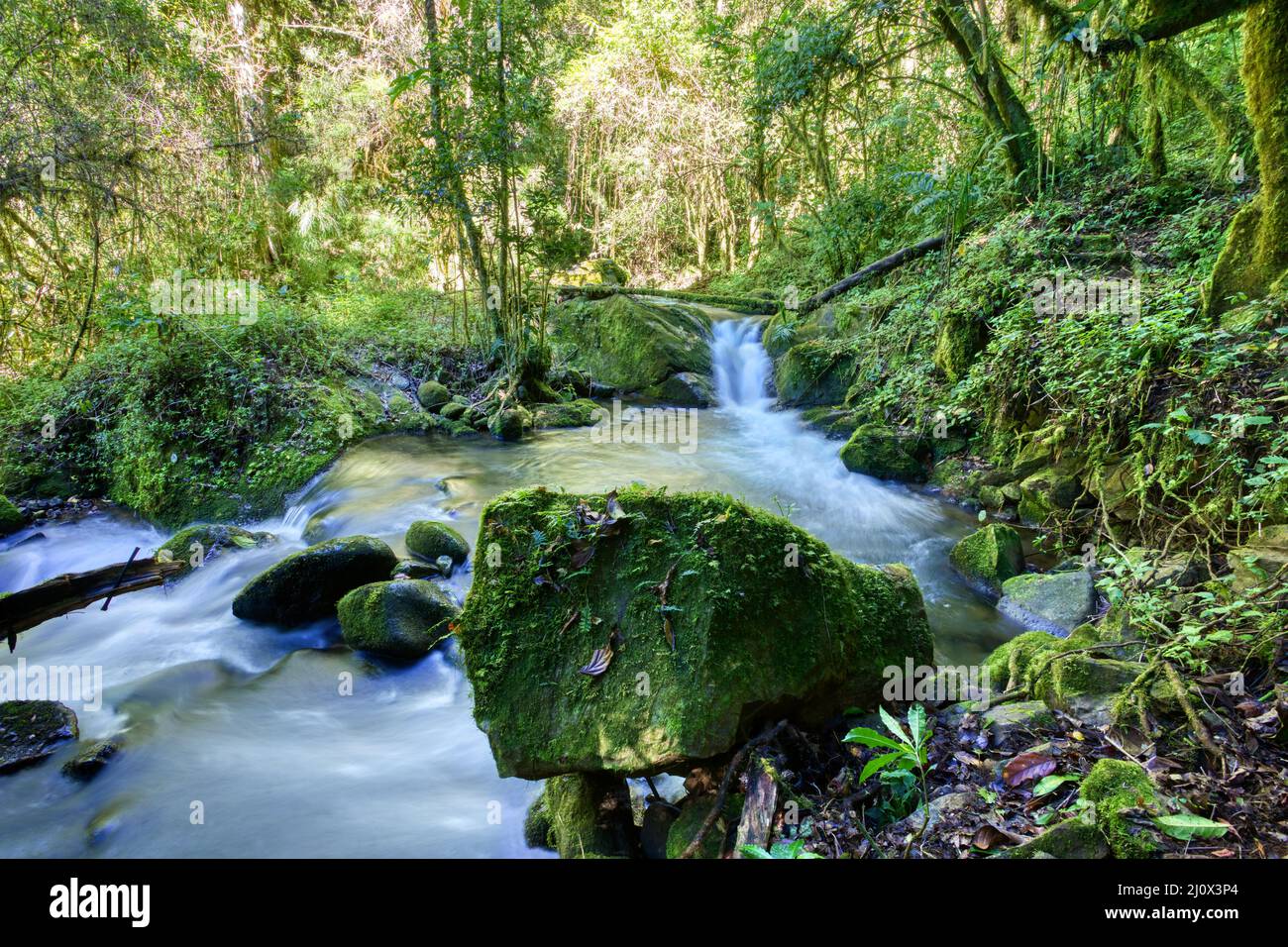 Wild mountain river Rio Savegre. San Gerardo de Dota, Costa Rica Stock ...