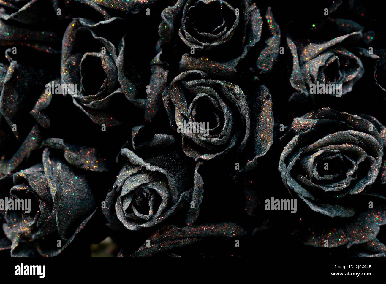 Black roses hi-res stock photography and images - Alamy