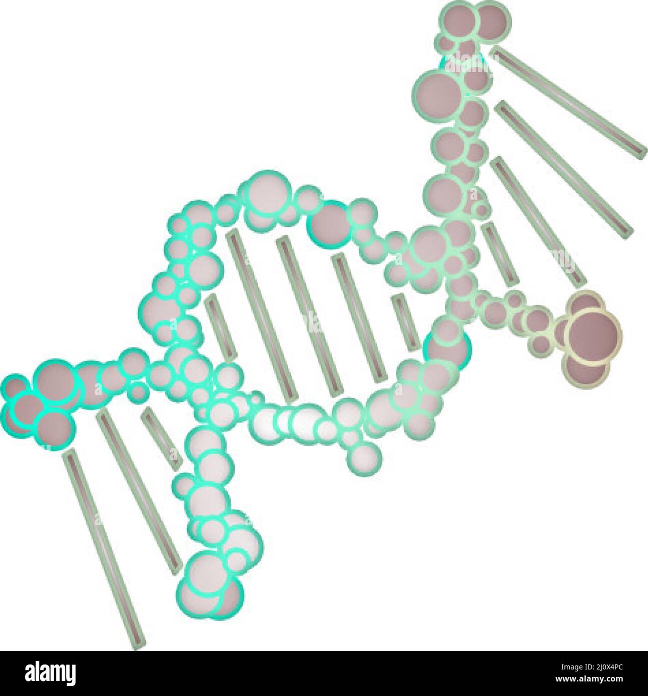 Helical structure vector vectors hi-res stock photography and images ...