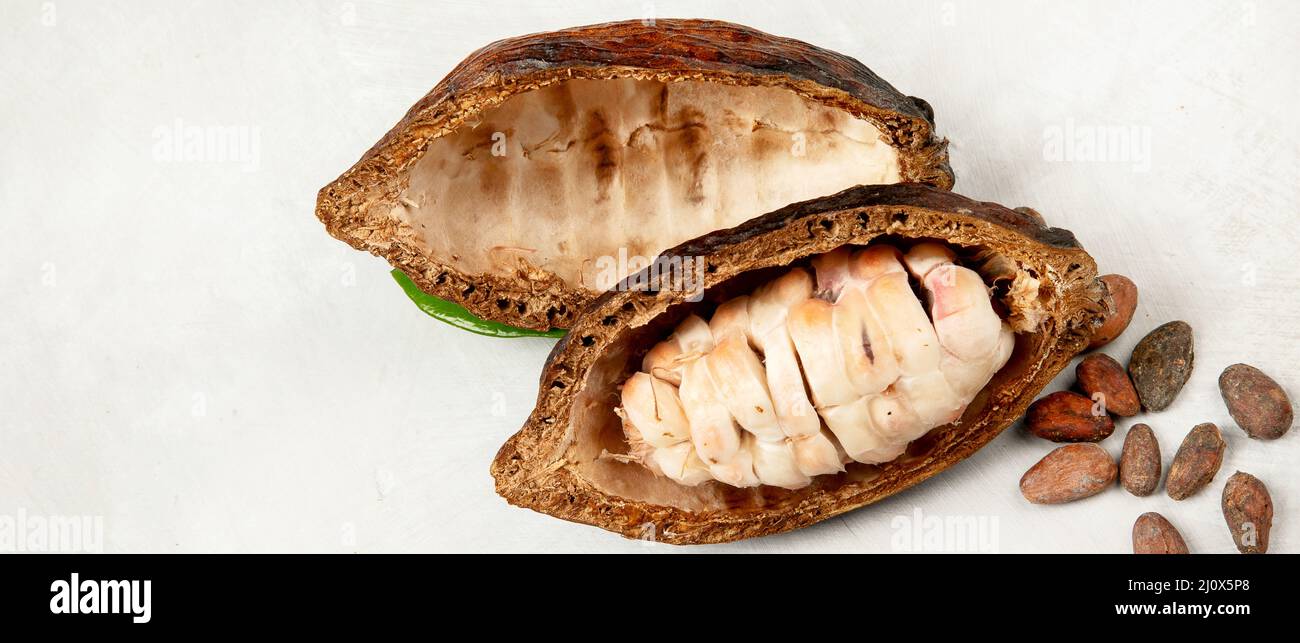 Fresh cocoa pod cut exposing cocoa seeds on white background, top view ...