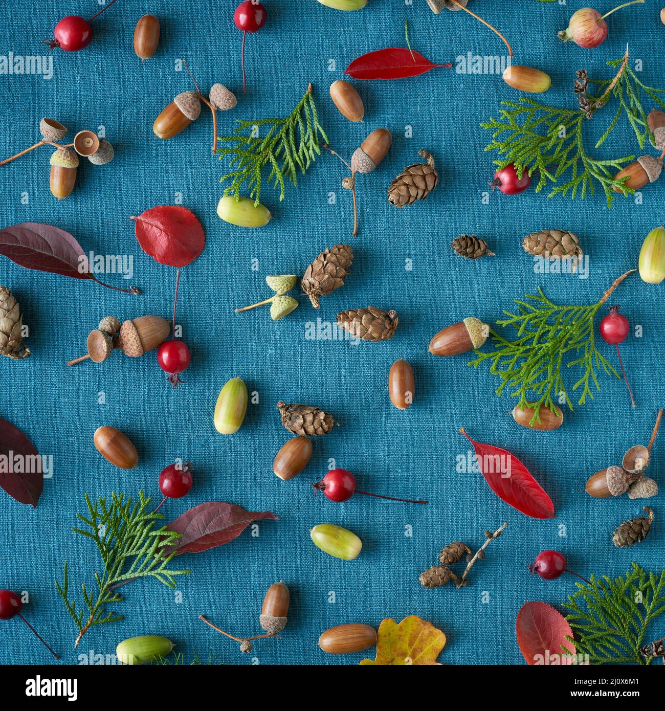 Autumn background of berries, small wild apples, acorns and leaves on ...