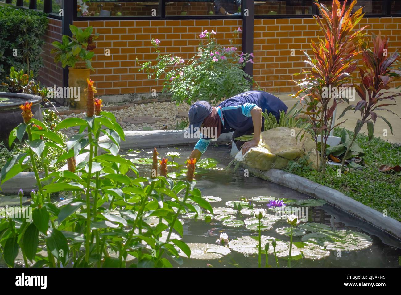Asian man wear cap cleaning garden pond from green algae. Male janitor ...