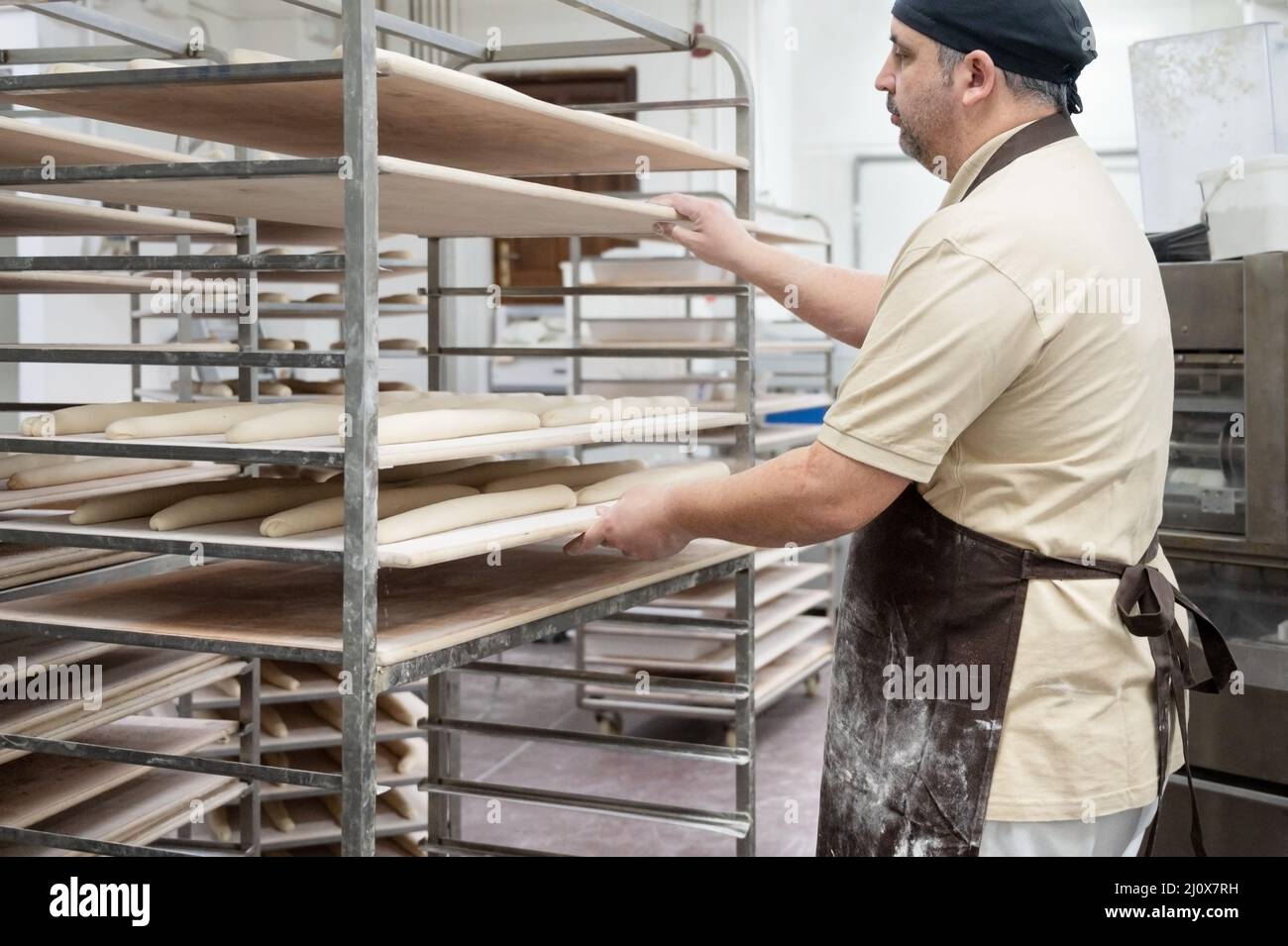 Baker placing tray with formed raw dough on rack trolley ready to bake ...