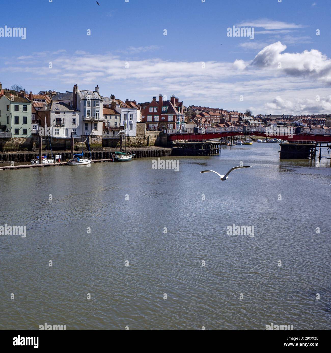 Beautiful view of river Esk surrounded by buildings in background of ...