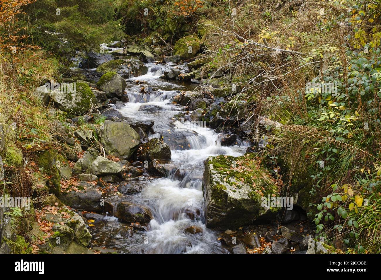 Radau river hi-res stock photography and images - Alamy