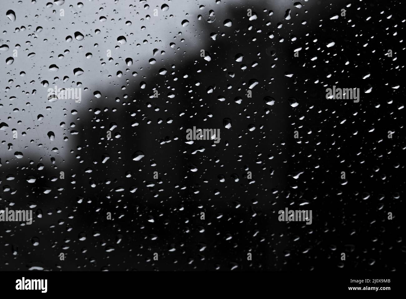 Grayscale backdrop hi-res stock photography and images - Alamy