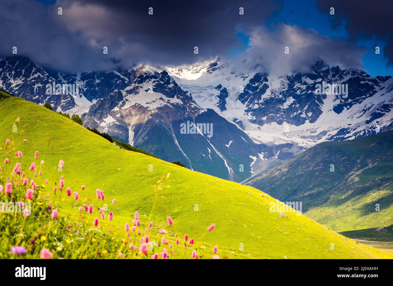 Beautiful alpine meadows at the foot of Mt. Shkhara. Dramatic overcast ...
