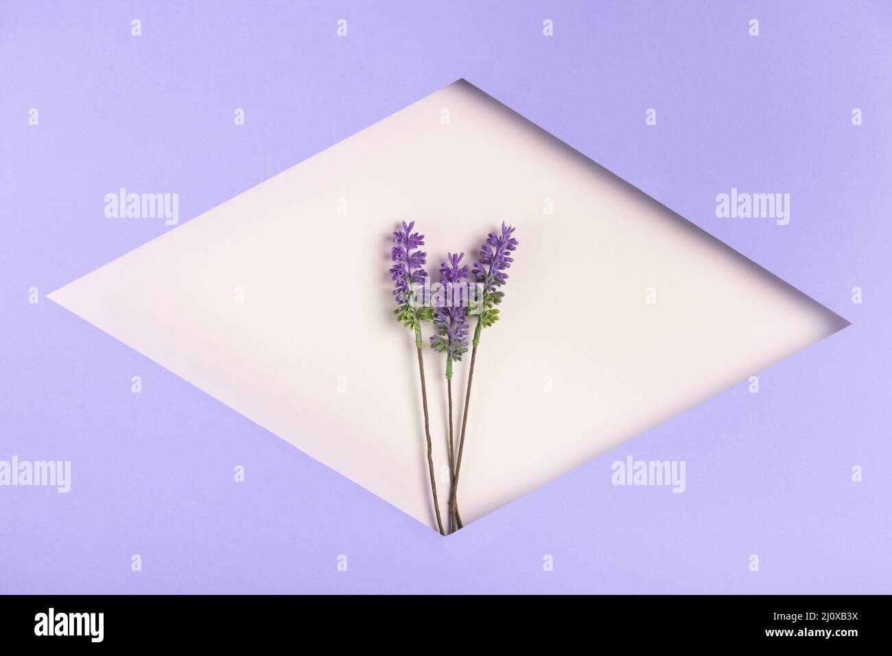 Madhubani design hi-res stock photography and images - Alamy