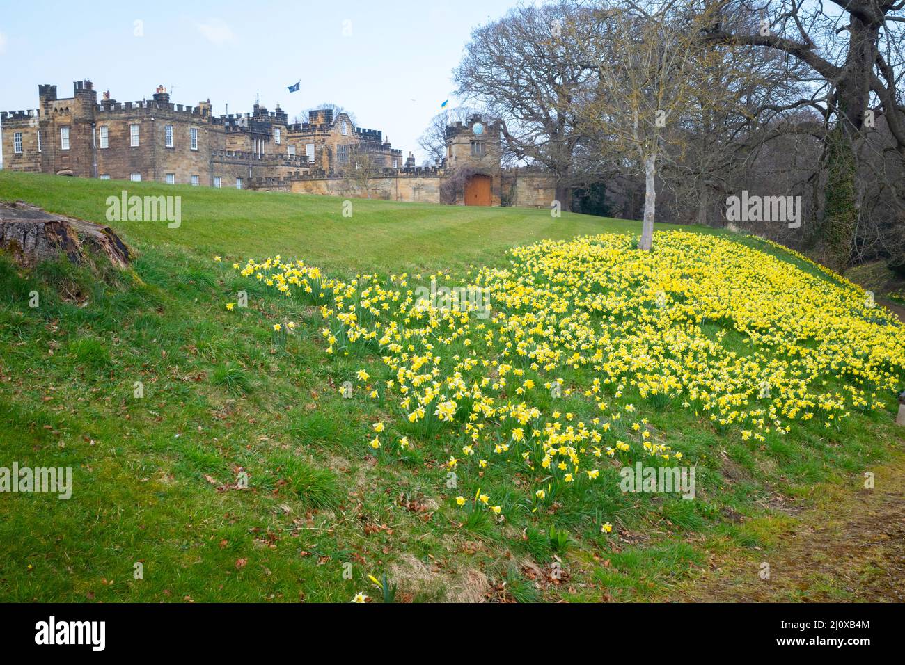 Skelton house hi-res stock photography and images - Alamy