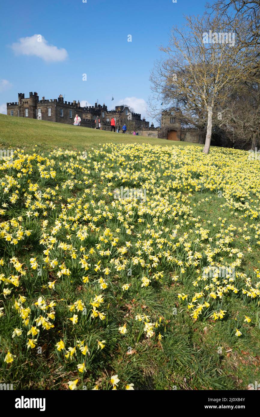 Skelton Castle built c 1770 is a country house built on the site of a ...