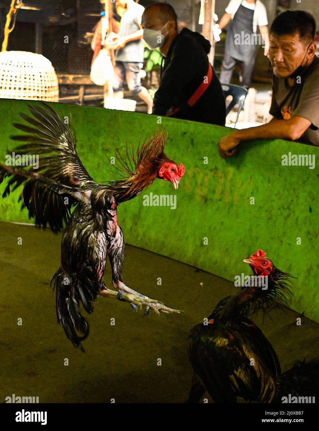 Bangkok, Thailand. March 20, 2022, Bangkok, Thailand: A pair of Thai ...