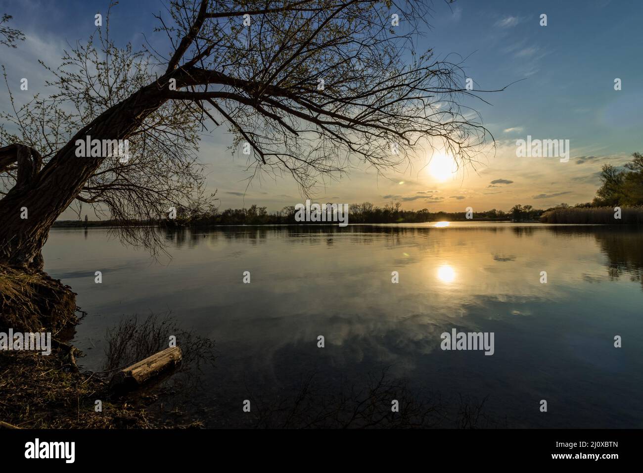 Giftener See lake in Sarstedt, Germany at sunrise or sunset Stock Photo ...