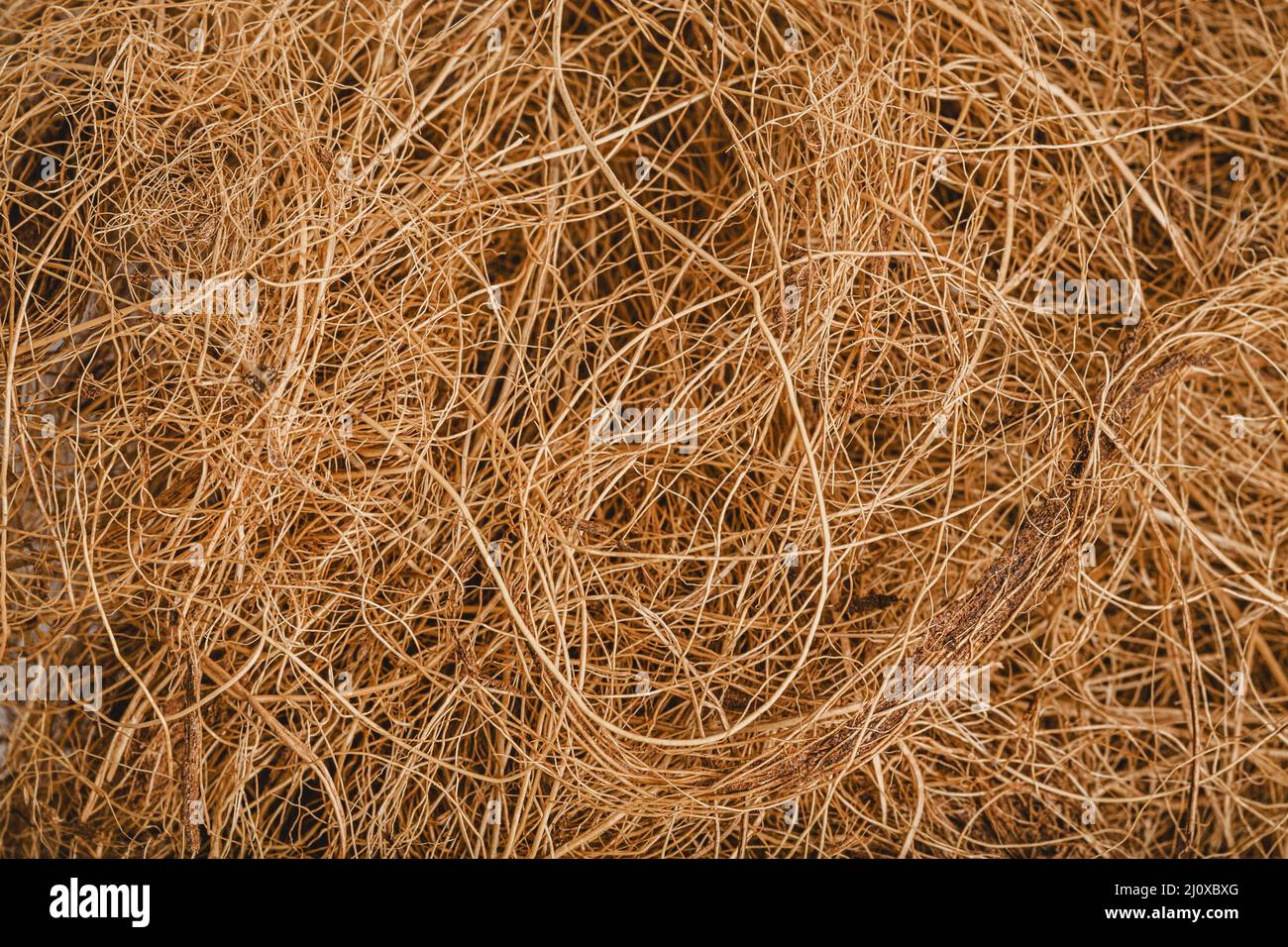 Top view hay background. High quality photo Stock Photo - Alamy